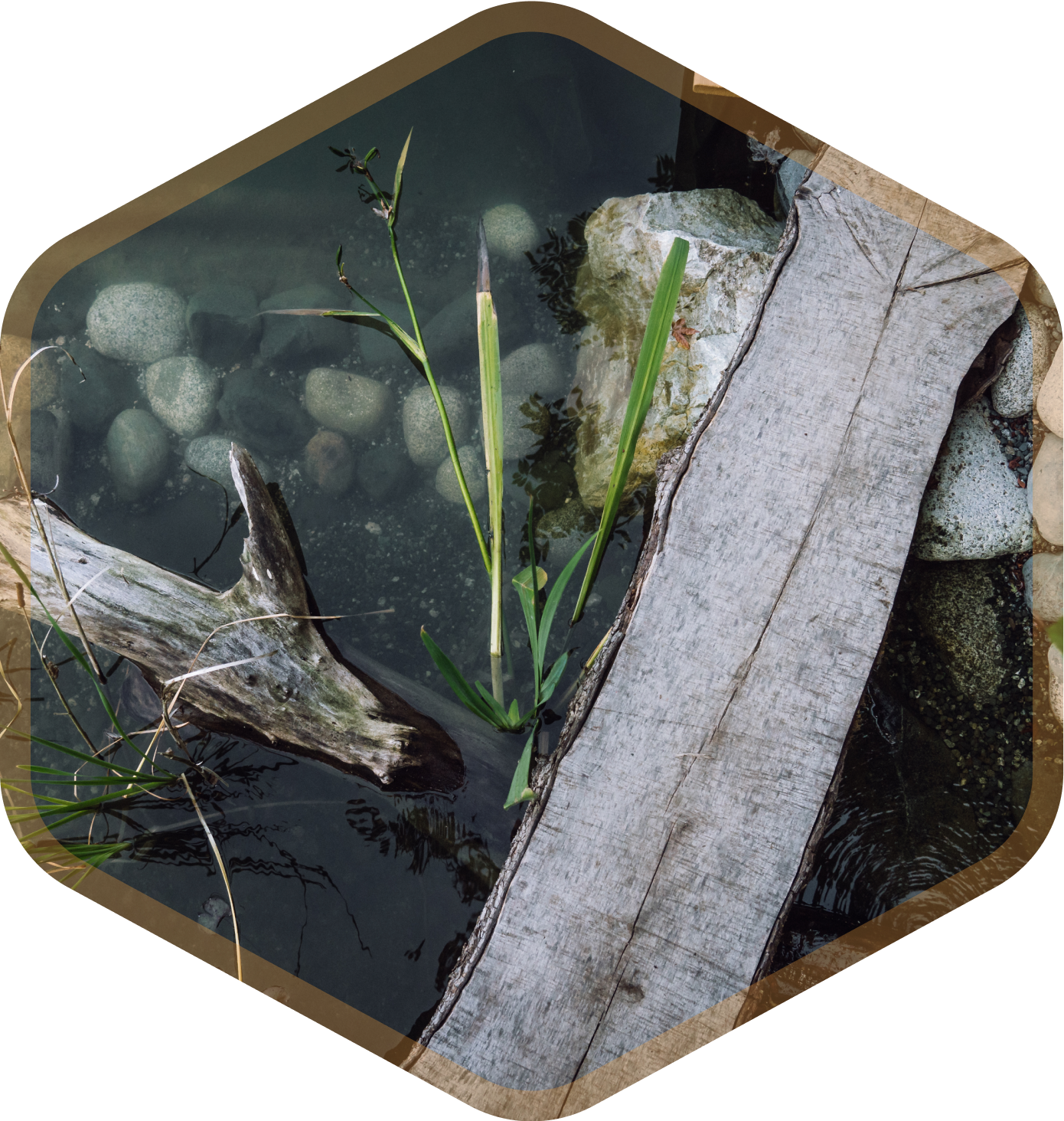 Ponds & Water Features - Newton Valley Excavating